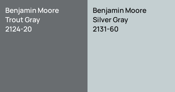 Benjamin Moore Trout Gray vs. Benjamin Moore Silver Gray comparison