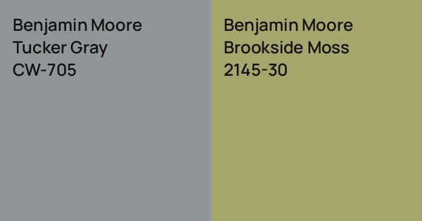 Benjamin Moore Tucker Gray vs. Benjamin Moore Brookside Moss comparison