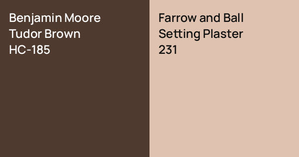 Benjamin Moore Tudor Brown vs. Farrow and Ball Setting Plaster comparison