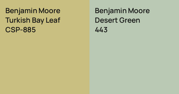 Benjamin Moore Turkish Bay Leaf vs. Benjamin Moore Desert Green comparison