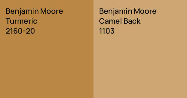 Benjamin Moore Turmeric vs. Benjamin Moore Camel Back comparison