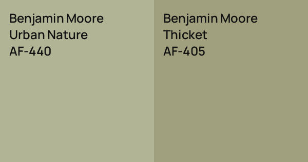 Benjamin Moore Urban Nature vs. Benjamin Moore Thicket comparison