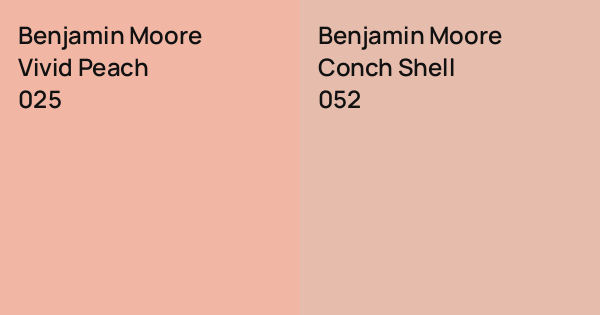 Benjamin Moore Vivid Peach vs. Benjamin Moore Conch Shell comparison
