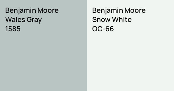 Benjamin Moore Wales Gray vs. Benjamin Moore Snow White comparison