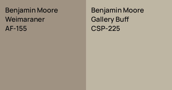 Benjamin Moore Weimaraner vs. Benjamin Moore Gallery Buff comparison