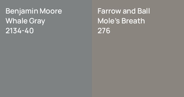 Benjamin Moore Whale Gray vs. Farrow and Ball Mole's Breath comparison