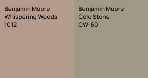 Benjamin Moore Whispering Woods vs. Benjamin Moore Cole Stone comparison