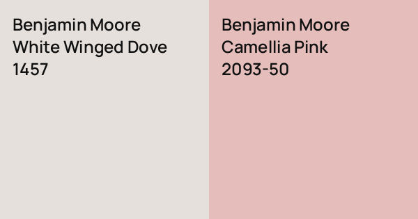 Benjamin Moore White Winged Dove vs. Benjamin Moore Camellia Pink comparison