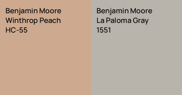 Benjamin Moore Winthrop Peach vs. Benjamin Moore La Paloma Gray comparison