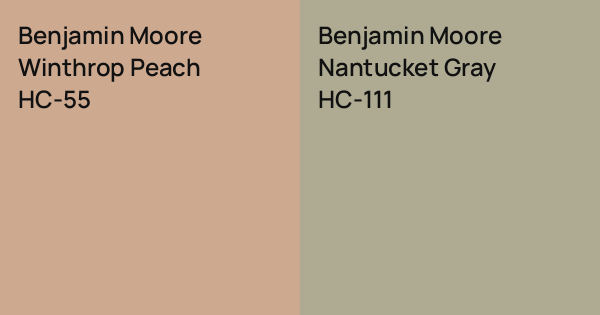 Benjamin Moore Winthrop Peach vs. Benjamin Moore Nantucket Gray comparison