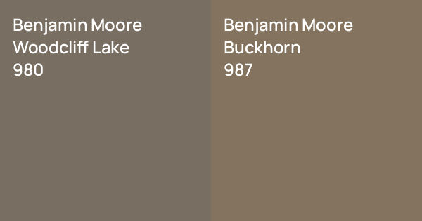 Benjamin Moore Woodcliff Lake vs. Benjamin Moore Buckhorn comparison