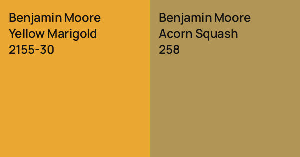 Benjamin Moore Yellow Marigold vs. Benjamin Moore Acorn Squash comparison