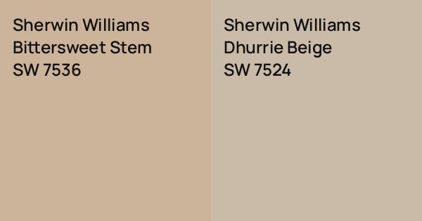 Sherwin Williams Bittersweet Stem vs. Sherwin Williams Dhurrie Beige ...