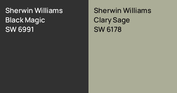 Sherwin Williams Black Magic vs. Sherwin Williams Clary Sage comparison