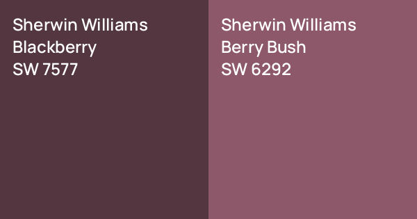 Sherwin Williams Blackberry vs. Sherwin Williams Berry Bush comparison
