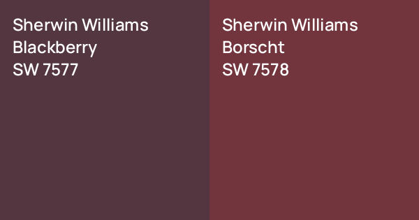 Sherwin Williams Blackberry vs. Sherwin Williams Borscht comparison