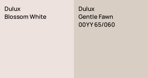 Dulux Blossom White vs. Dulux Gentle Fawn comparison
