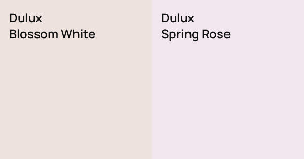 Dulux Blossom White vs. Dulux Spring Rose comparison