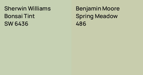 Sherwin Williams Bonsai Tint vs. Benjamin Moore Spring Meadow comparison