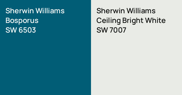 Sherwin Williams Bosporus vs. Sherwin Williams Ceiling Bright White ...