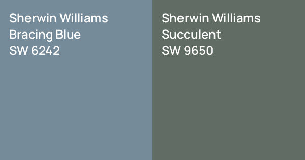 Sherwin Williams Bracing Blue vs. Sherwin Williams Succulent comparison