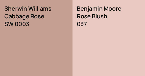 Sherwin Williams Cabbage Rose vs. Benjamin Moore Rose Blush comparison