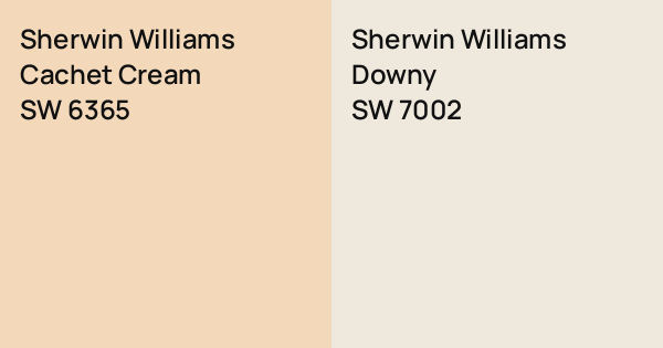 Sherwin Williams Cachet Cream vs. Sherwin Williams Downy comparison