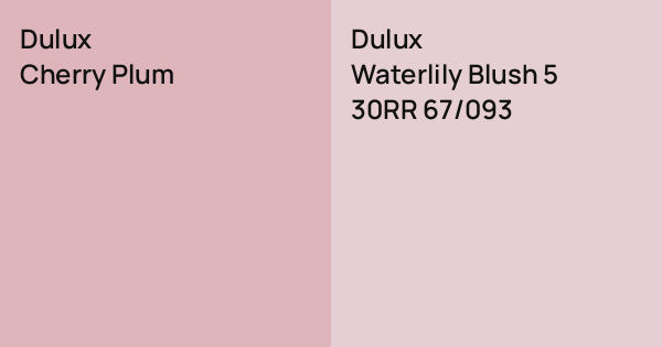 Dulux Cherry Plum vs. Dulux Waterlily Blush 5 comparison