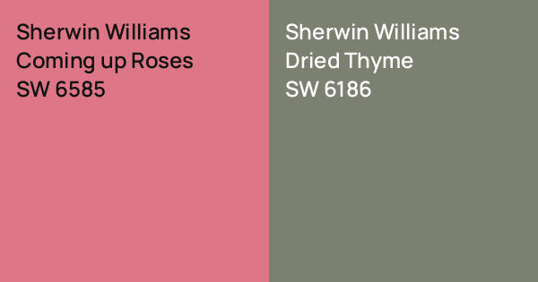 Sherwin Williams Coming up Roses vs. Sherwin Williams Dried Thyme ...