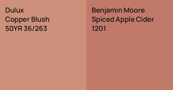 Dulux Copper Blush vs. Benjamin Moore Spiced Apple Cider comparison