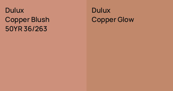 Dulux Copper Blush vs. Dulux Copper Glow comparison