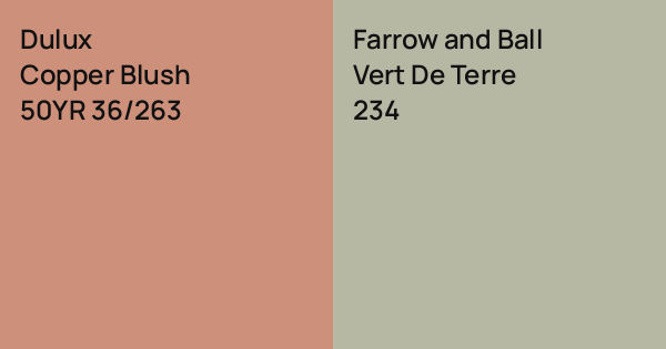 Dulux Copper Blush vs. Farrow and Ball Vert De Terre comparison