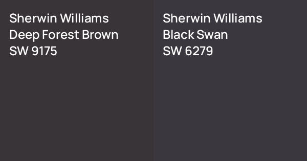 Sherwin Williams Deep Forest Brown vs. Sherwin Williams Black Swan ...