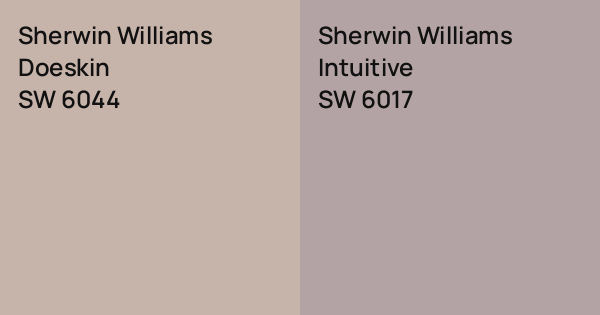 Sherwin Williams Doeskin vs. Sherwin Williams Intuitive comparison