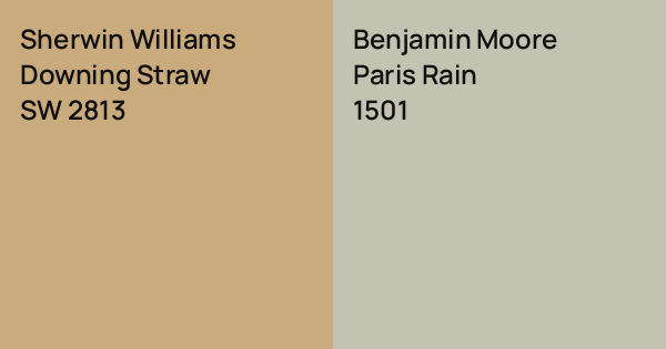 Sherwin Williams Downing Straw vs. Benjamin Moore Paris Rain comparison