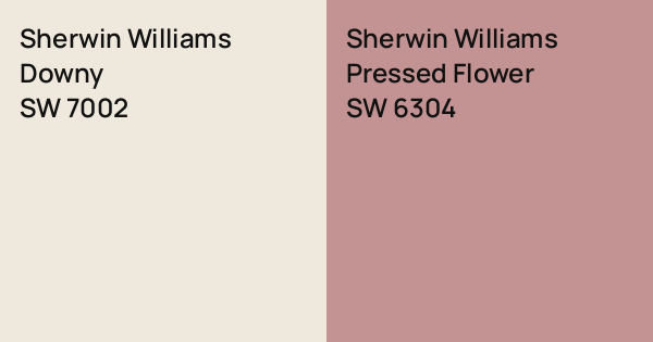 Sherwin Williams Downy vs. Sherwin Williams Pressed Flower comparison
