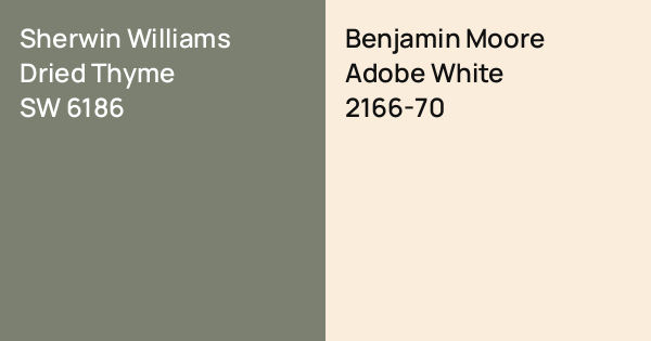 Sherwin Williams Dried Thyme vs. Benjamin Moore Adobe White comparison