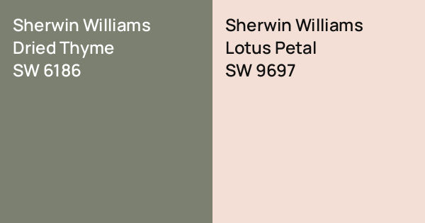 Sherwin Williams Dried Thyme vs. Sherwin Williams Lotus Petal comparison