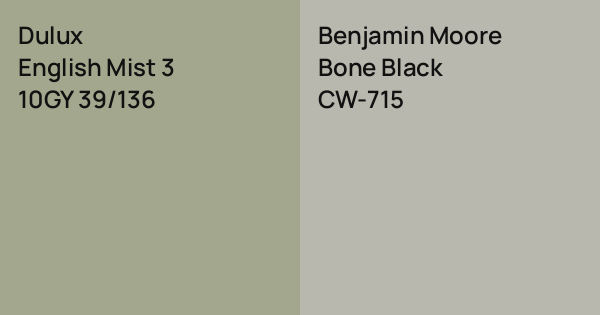Dulux English Mist 3 vs. Benjamin Moore Bone Black comparison