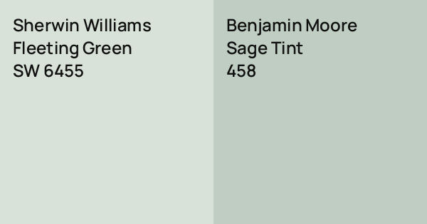 Sherwin Williams Fleeting Green vs. Benjamin Moore Sage Tint comparison