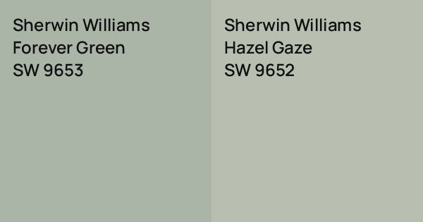 Sherwin Williams Forever Green vs. Sherwin Williams Hazel Gaze comparison