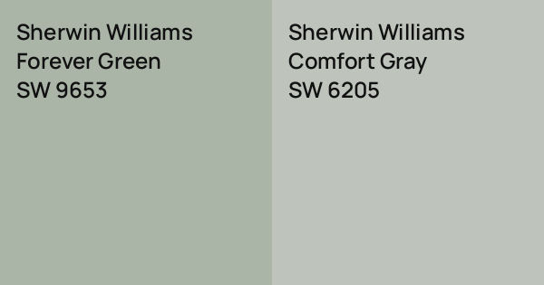 Sherwin Williams Forever Green vs. Sherwin Williams Comfort Gray comparison