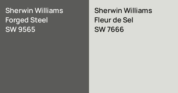 Sherwin Williams Forged Steel vs. Sherwin Williams Fleur de Sel comparison