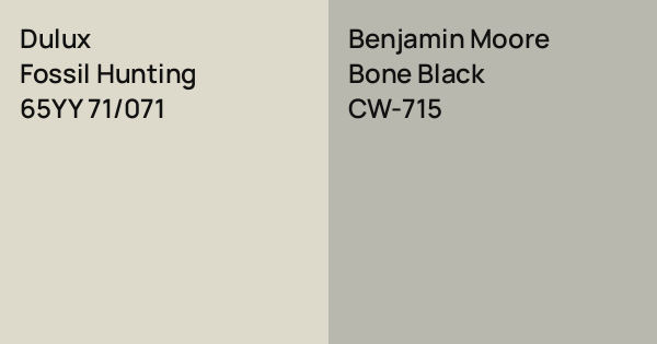 Dulux Fossil Hunting vs. Benjamin Moore Bone Black comparison