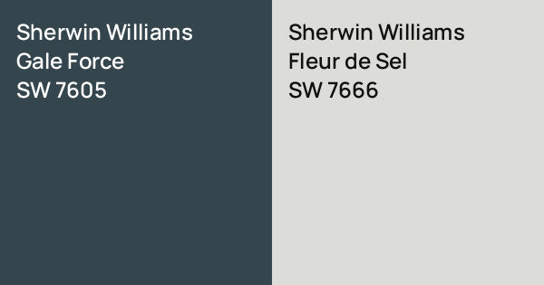 Sherwin Williams Gale Force vs. Sherwin Williams Fleur de Sel comparison