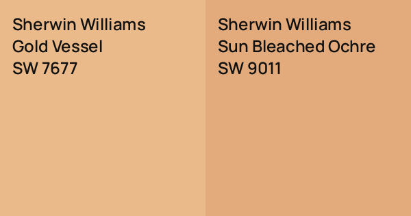 Sherwin Williams Gold Vessel vs. Sherwin Williams Sun Bleached Ochre ...