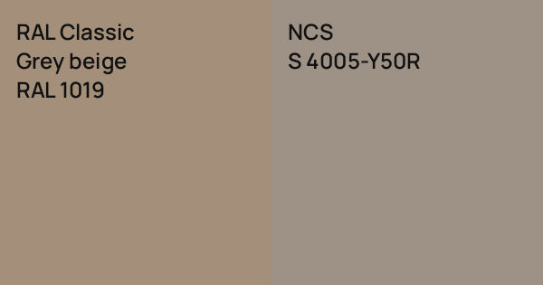 RAL Classic Grey beige vs. NCS S 4005-Y50R comparison