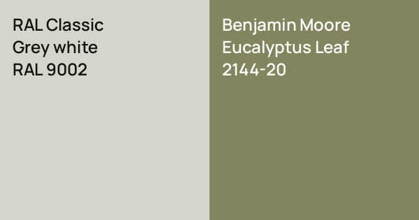 RAL Classic Grey white vs. Benjamin Moore Eucalyptus Leaf comparison
