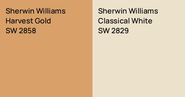 Sherwin Williams Harvest Gold vs. Sherwin Williams Classical White ...