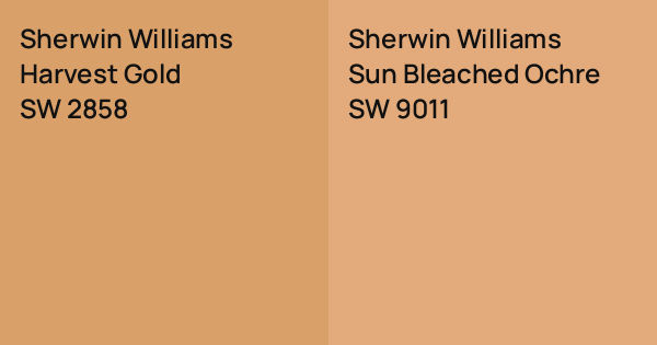 Sherwin Williams Harvest Gold vs. Sherwin Williams Sun Bleached Ochre ...